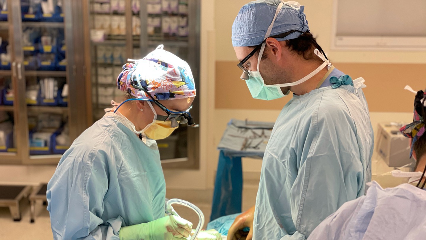 Plastic Surgery | Medical School | Brown University